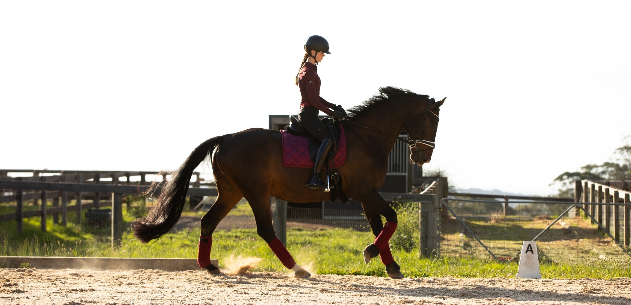 Cavallo Equestrian® Wa – Cavallo Equestrian Wa